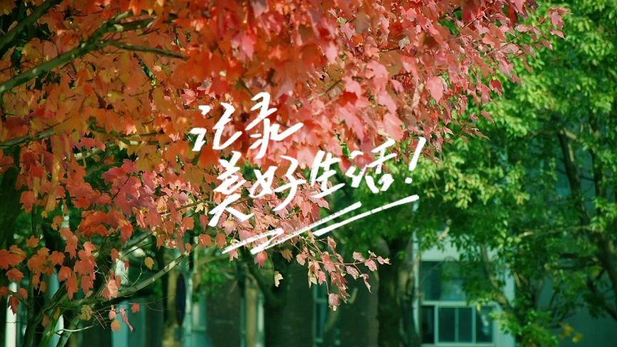 美好生活今日更新图标