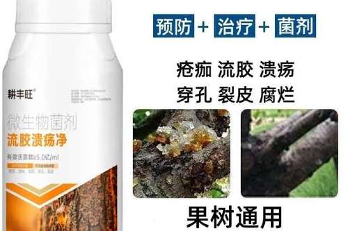 柑橘树流胶病特效药图标
