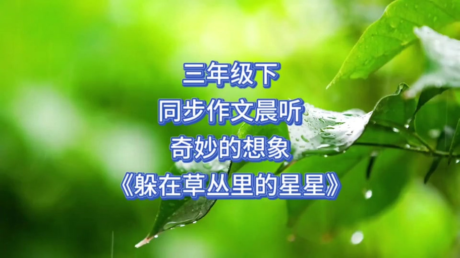 躲在草丛里的星星300字三年级截图