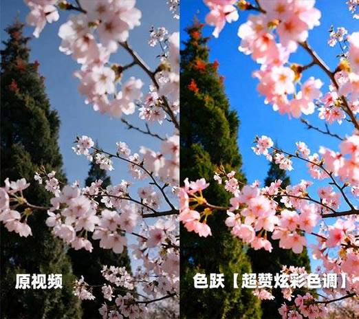 怎样让拍的视频颜色更鲜艳截图