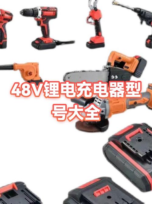 48v锂电有几种充电器图标