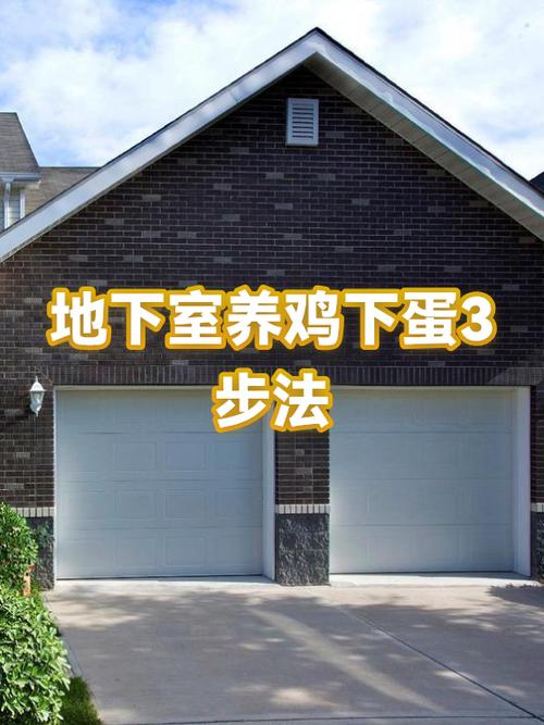 地下室养鸡可以吗