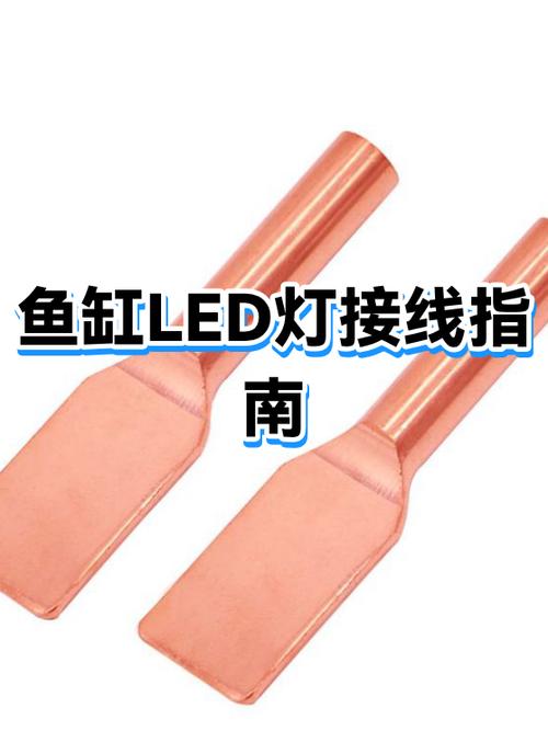 鱼缸照明灯直接通电为什么不亮截图
