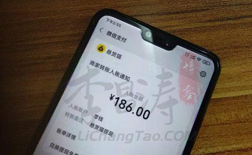 悬赏猫做了任务不给钱图标