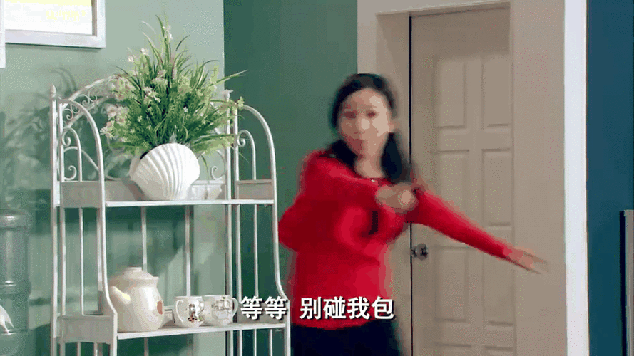 爱情公寓胡一菲装修截图