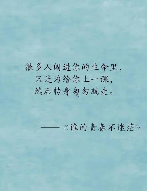 闲鱼以前的聊天记录图标