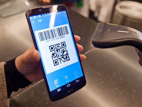支付宝扫码付款待到账图标