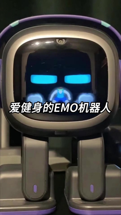 ikan机器人