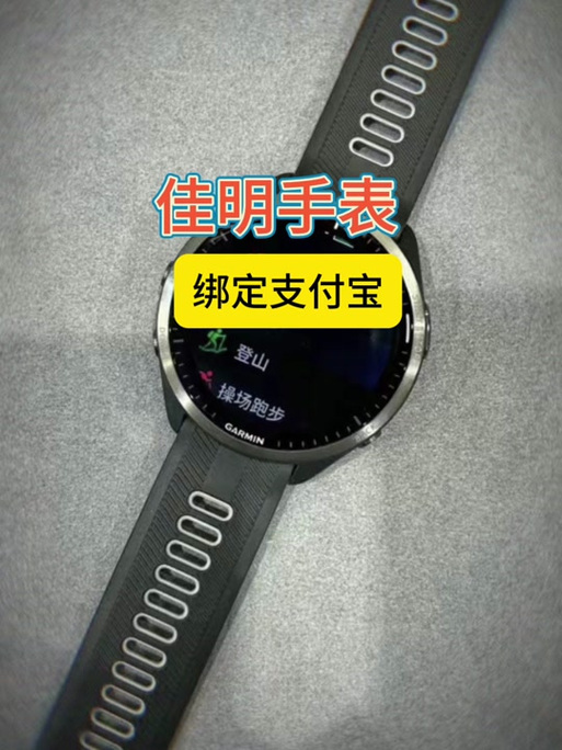 佳明手表步数同步到支付宝图标