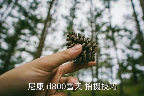 尼康d800人像模式设置图标