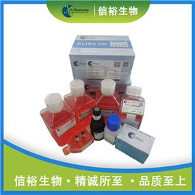 试剂网图标
