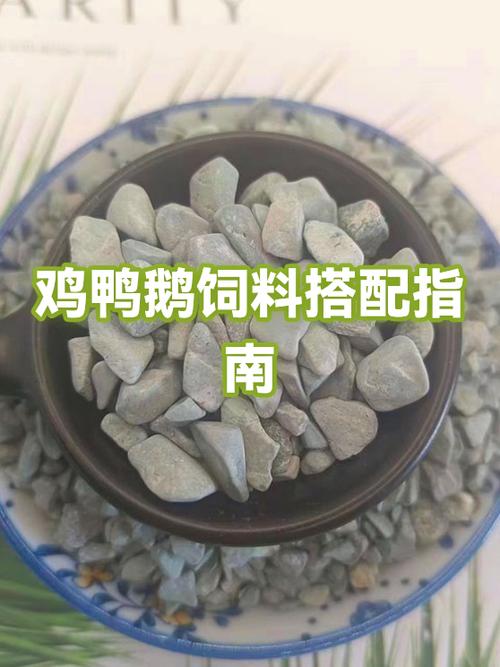 丫鸭梦想家怎么获得饲料缩略图