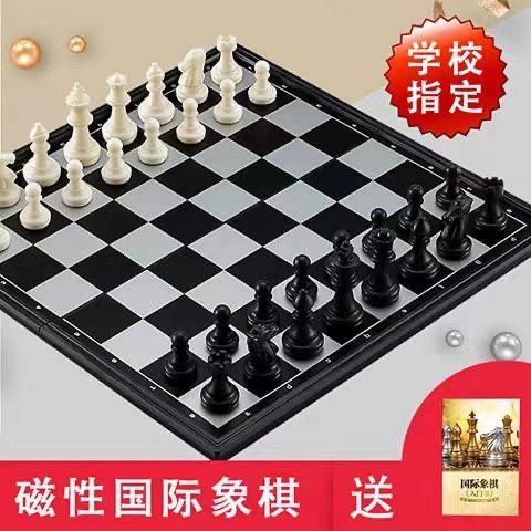 磁石国际象棋初学视频截图