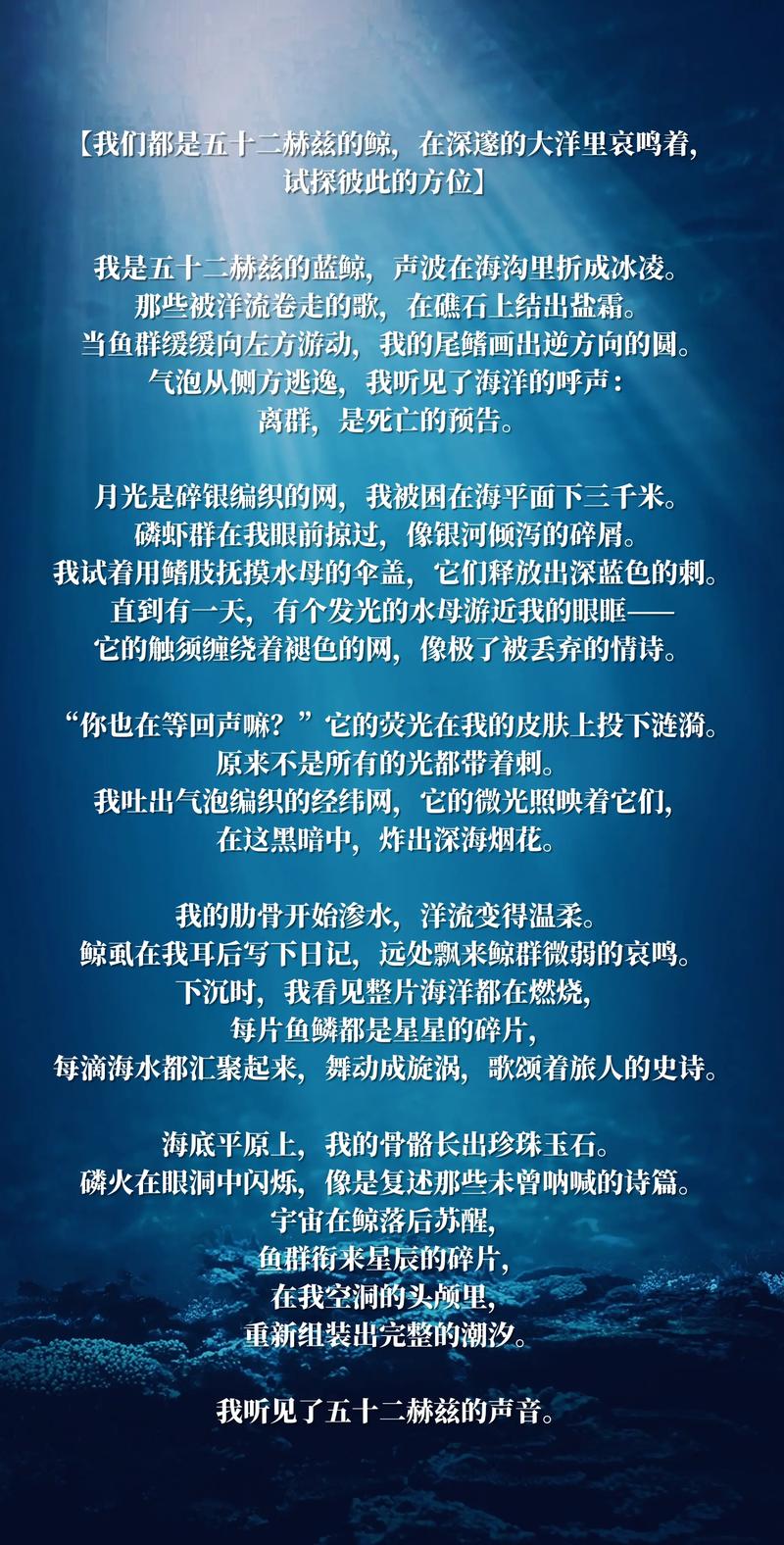 52赫兹的鲸鱼的故事截图