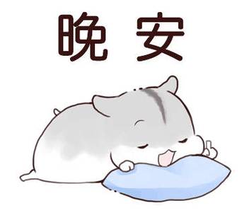 女人发晚安带表情啥意思图标