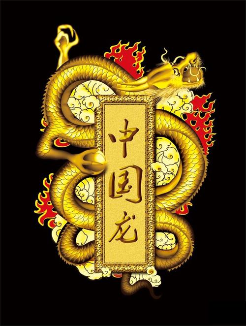中国龙app下载图标