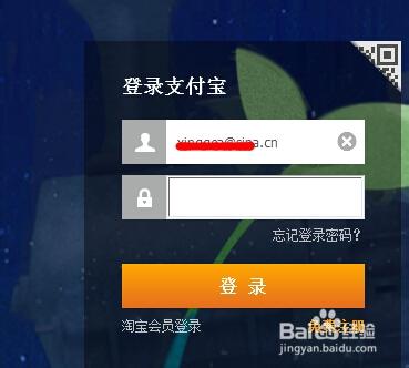 电脑端支付宝登录图标