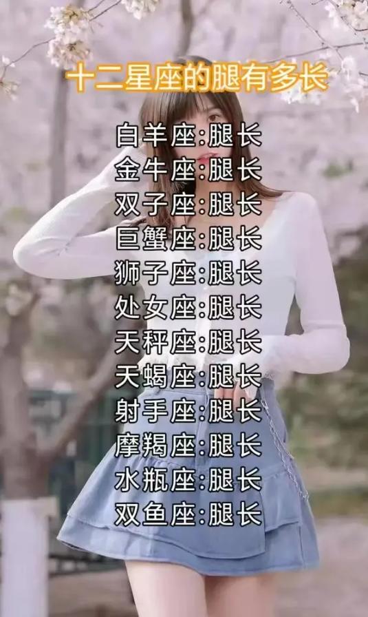 十二星座每日运势对比图标