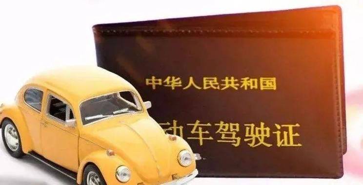 123驾驶证查询图标
