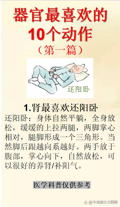 养生十二个动作截图