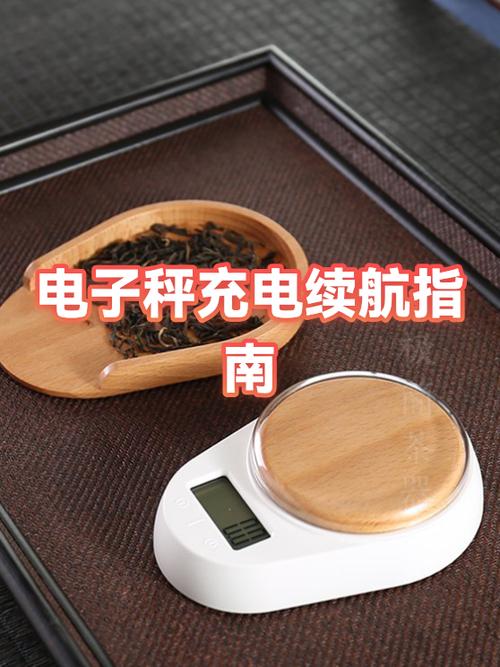 给电子秤充电怎么知道它充满了电截图