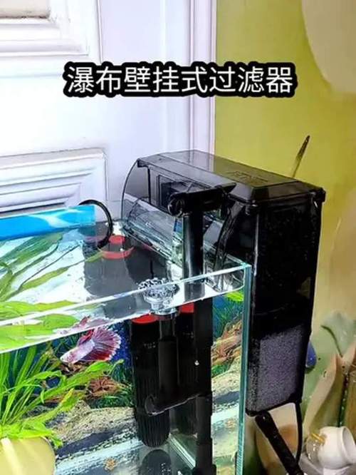 鱼缸过滤器哪种最好最实用图标