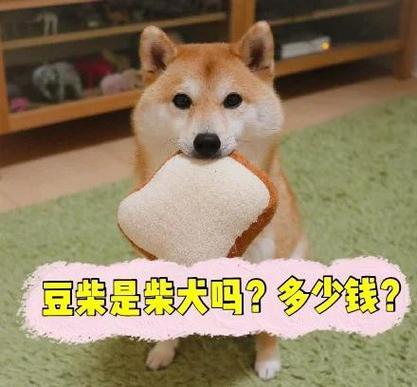 八千豆是多少钱截图
