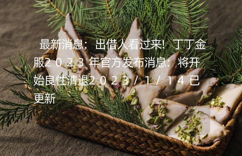 丁丁金服最新消息截图