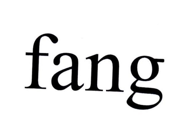 FANG公司图标