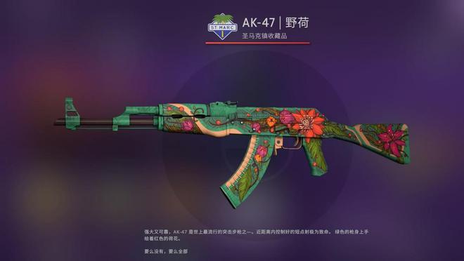 csgo枪械改名好听日文名字图标