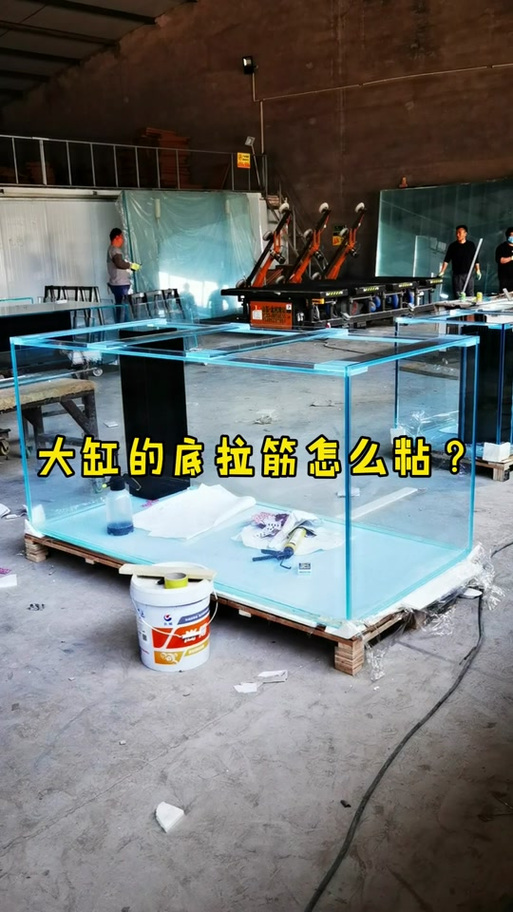 鱼缸怎么加固防止爆缸截图