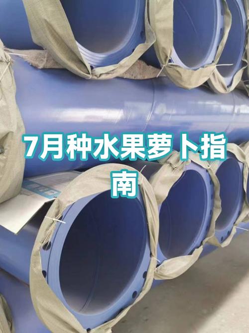 最好吃的水果萝卜品种图标