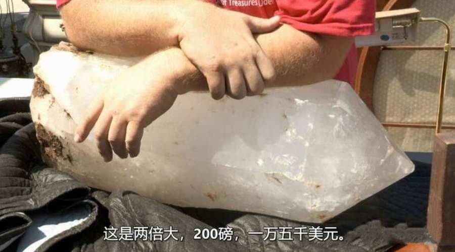 《仓储挖宝王》图标