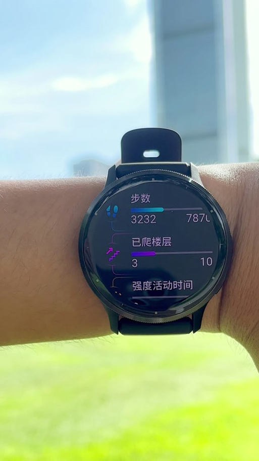 佳明手表步数设置图标
