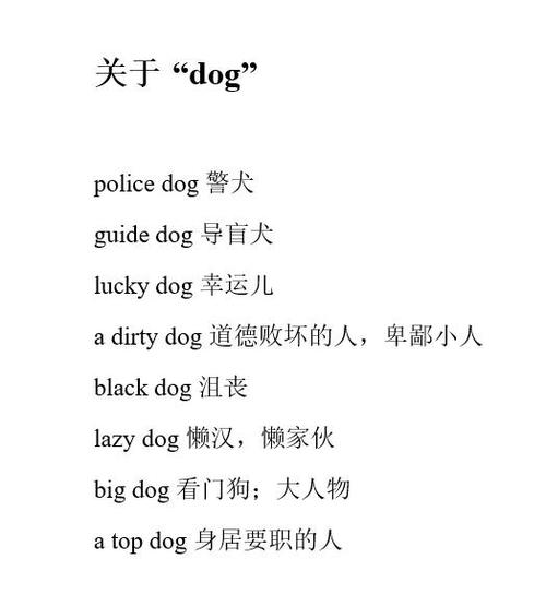 dog是什么中文意思截图