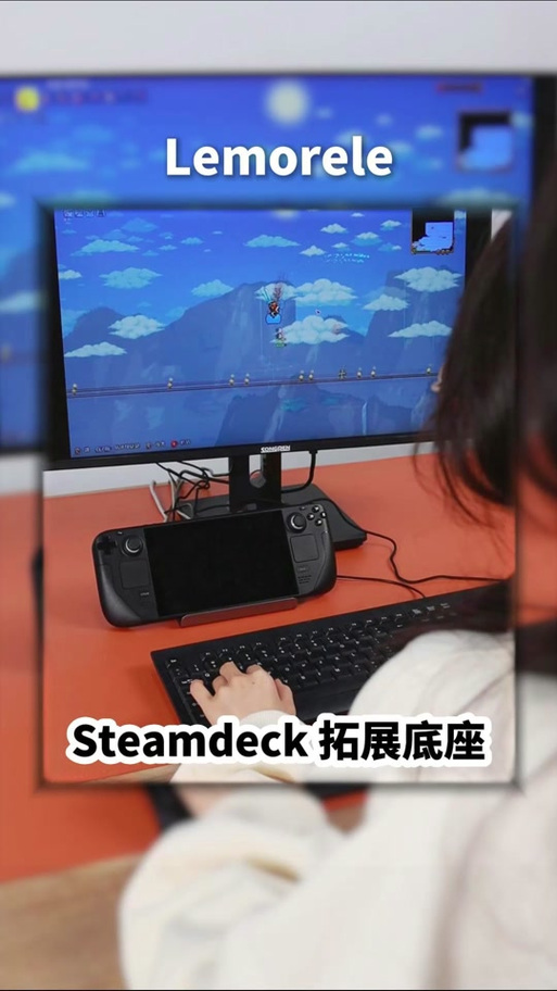 泰拉瑞亚联机已丢失