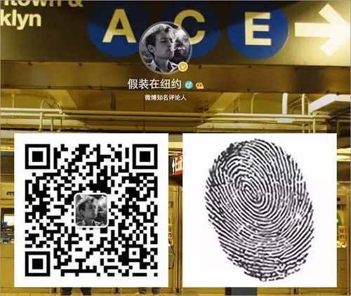 qq不能通过qq号查找图标