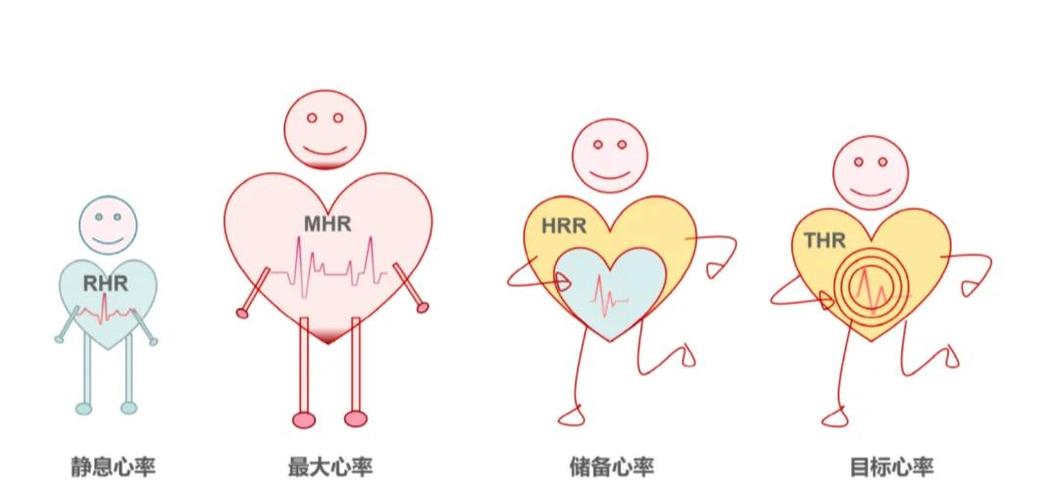 安静心率和静息心率有什么区别图标