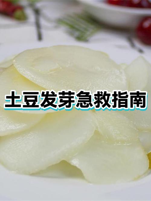 发芽土豆怎么处理才能吃图标