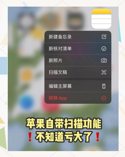 苹果手机扫一码通扫不出来怎么办截图