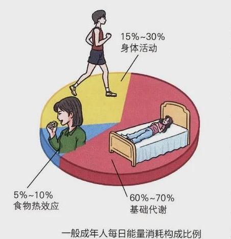 身体消耗能量的先后顺序截图