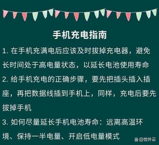 手机长时间充电会引起什么后果截图