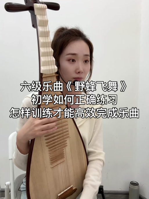 琵琶野蜂飞舞教学视频慢版