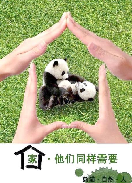 拯救大熊猫的方法图标