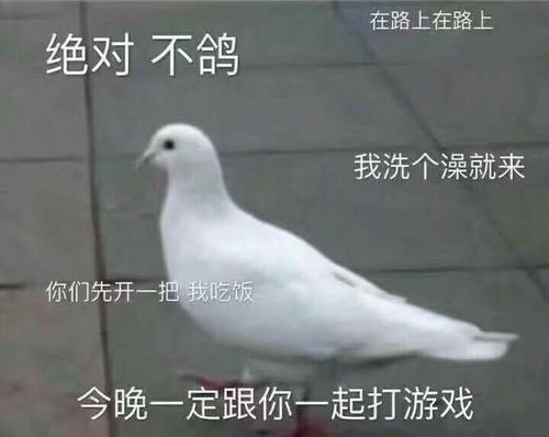 不鸽截图