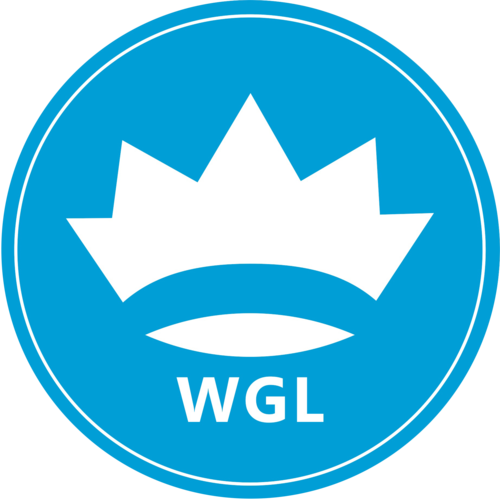 WGL是什么缩写截图