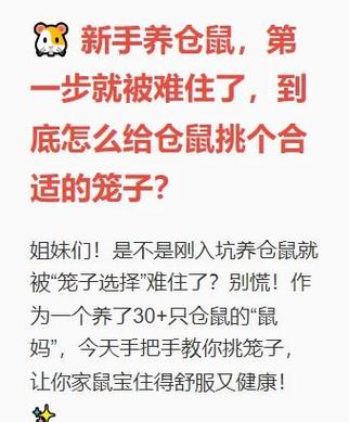 新手养仓鼠必备清单图标