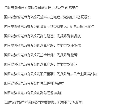 安徽电力公司领导的分工截图