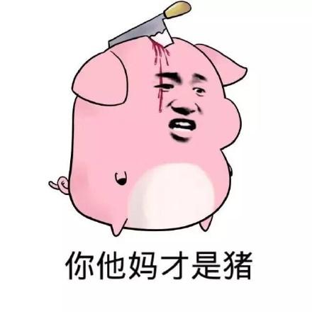 猪最搞笑绰号缩略图