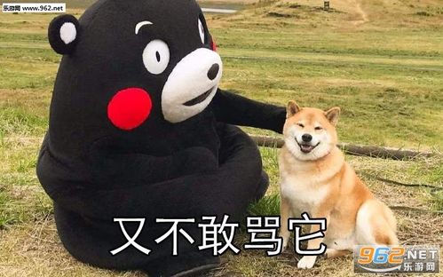 日子太狗了什么意思截图